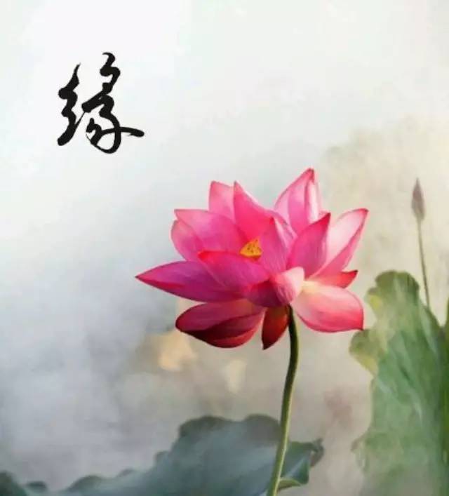 缘分最美缘分缘分朋友大山谷图库